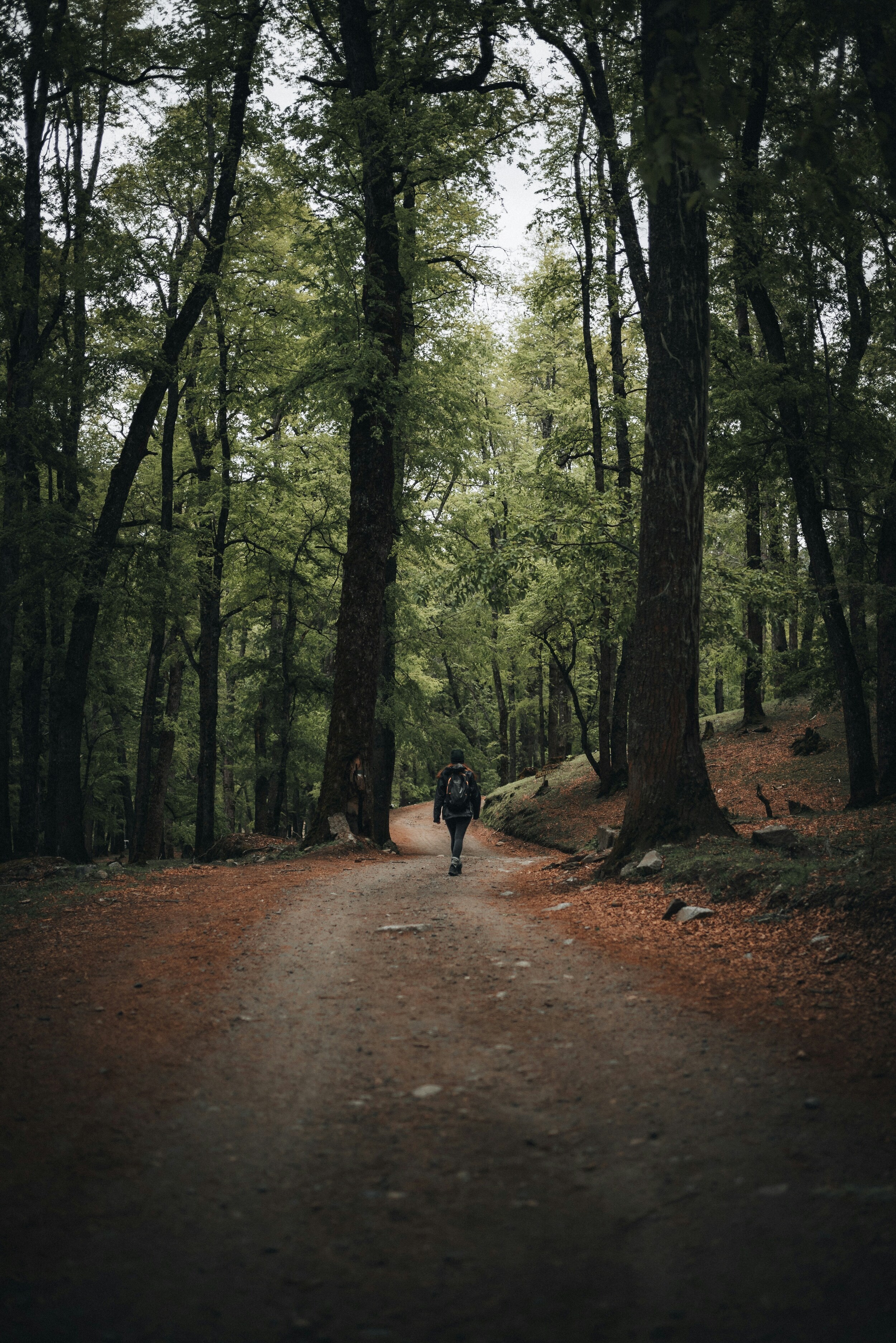 When the Path Feels All Wrong | Midwest Bible Church