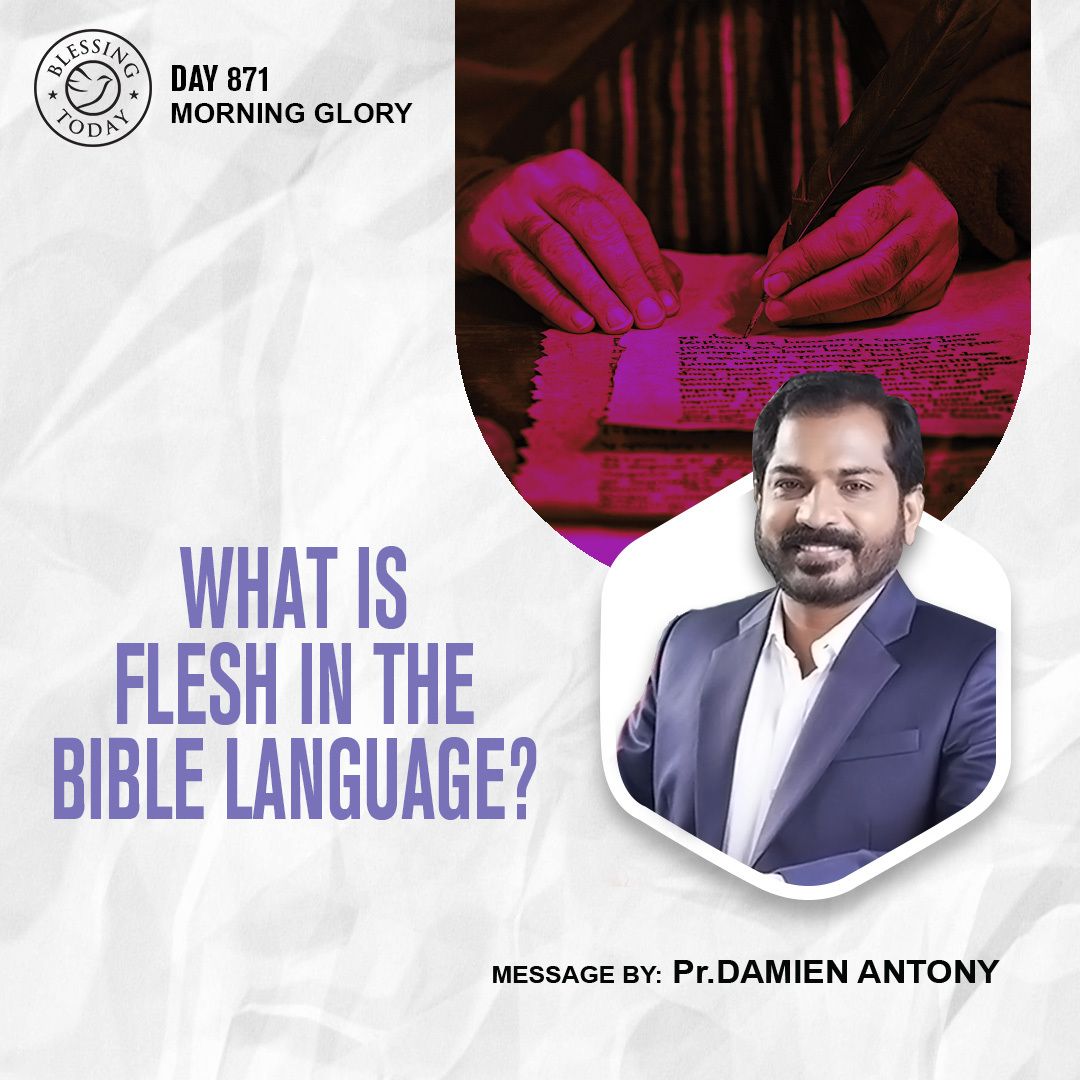 What Is Flesh In The Bible Language? | Blessing Today